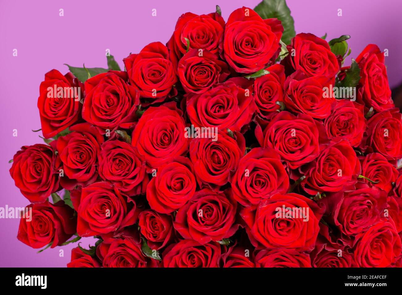 Happy birthday colorful roses beautiful hi-res stock photography and ...