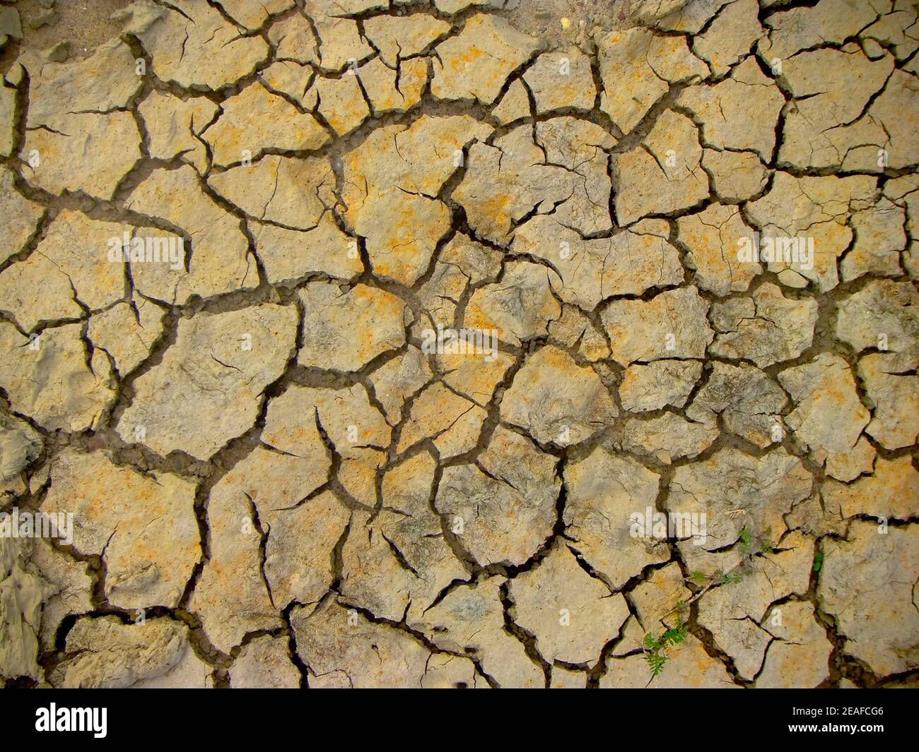 dried cracked soil Stock Photo - Alamy