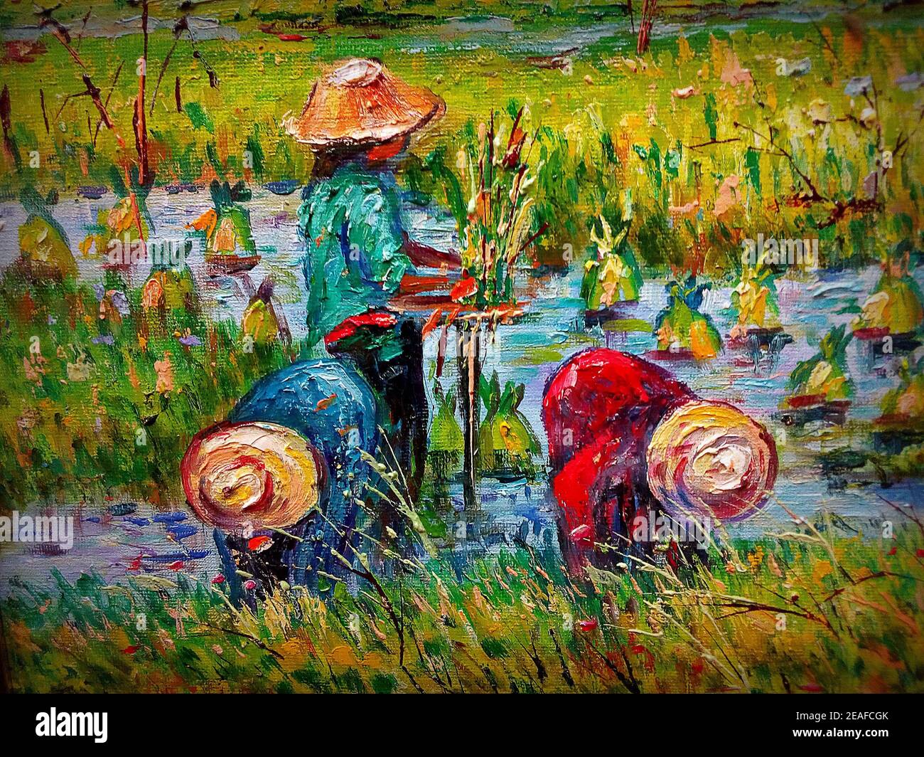 Rice seedlings hi-res stock photography and images - Alamy Rice seedlings hi-res stock photography and images - Alamy