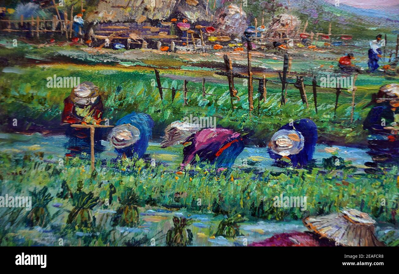 Art, painting ,oil color ,Thai land Grow rice , Transplant rice ...