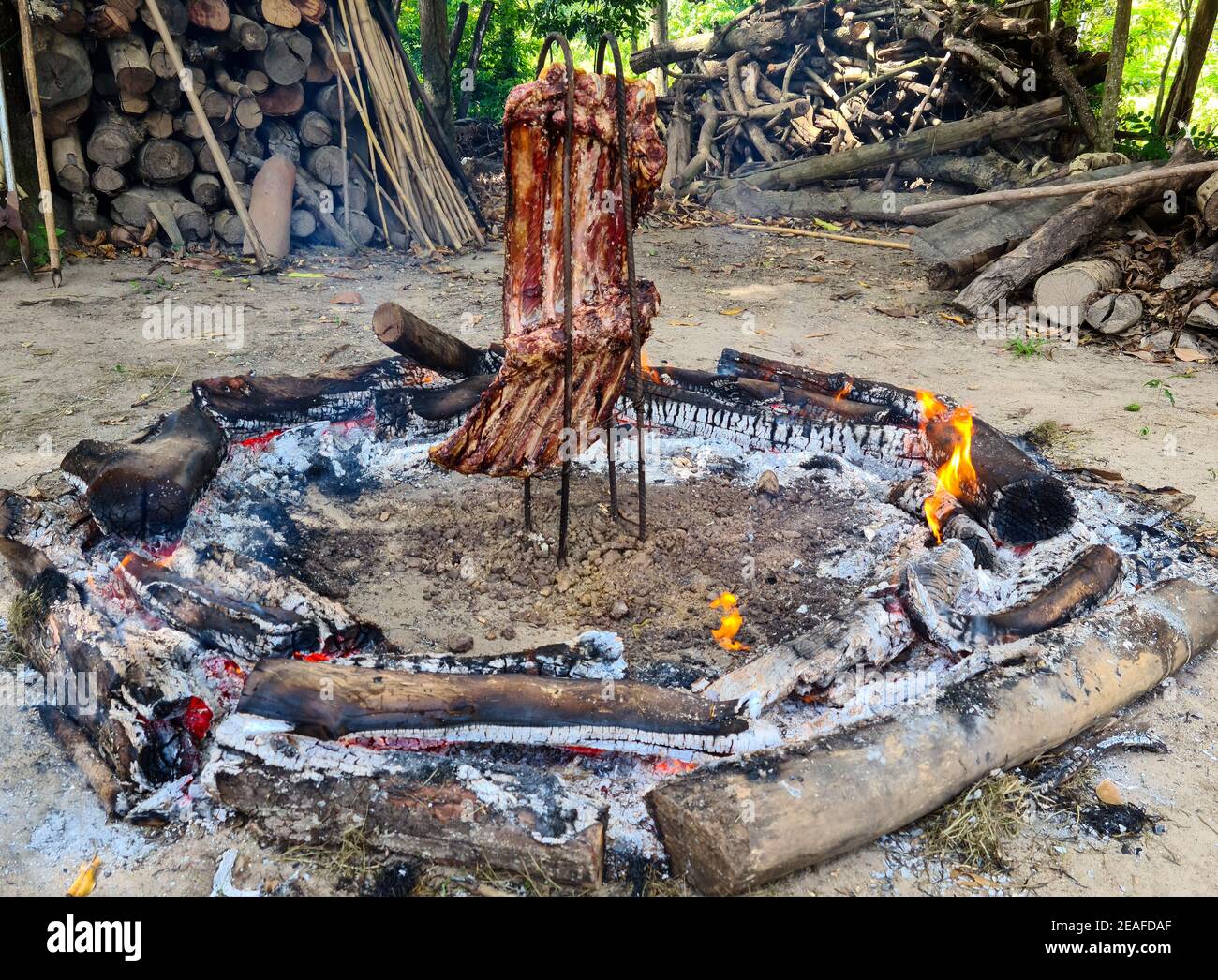Beef rib barbecue with ground fire Stock Photo - Alamy