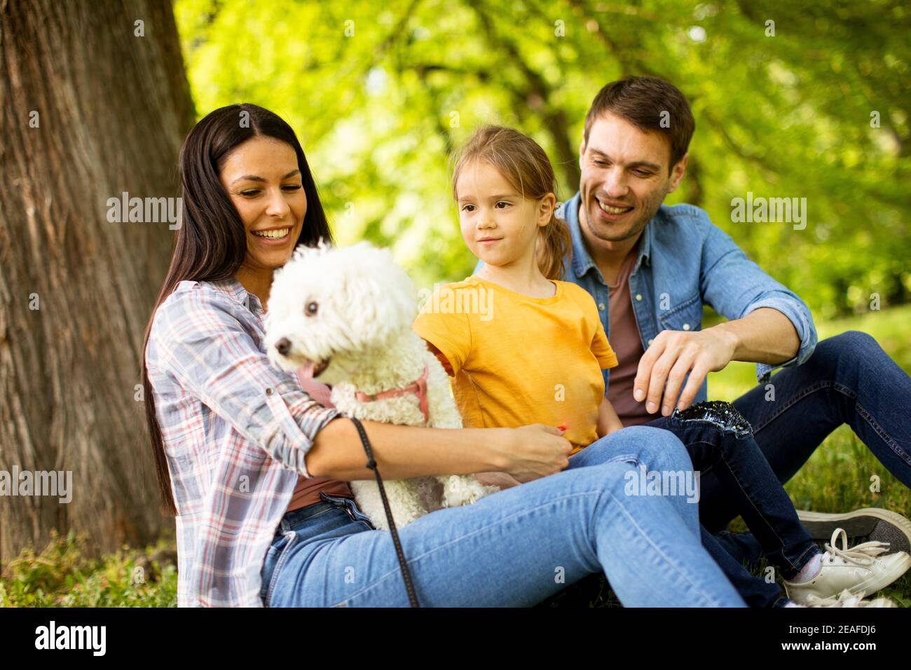 Beautiful happy family is having fun with bichon dog outdoors in the ...