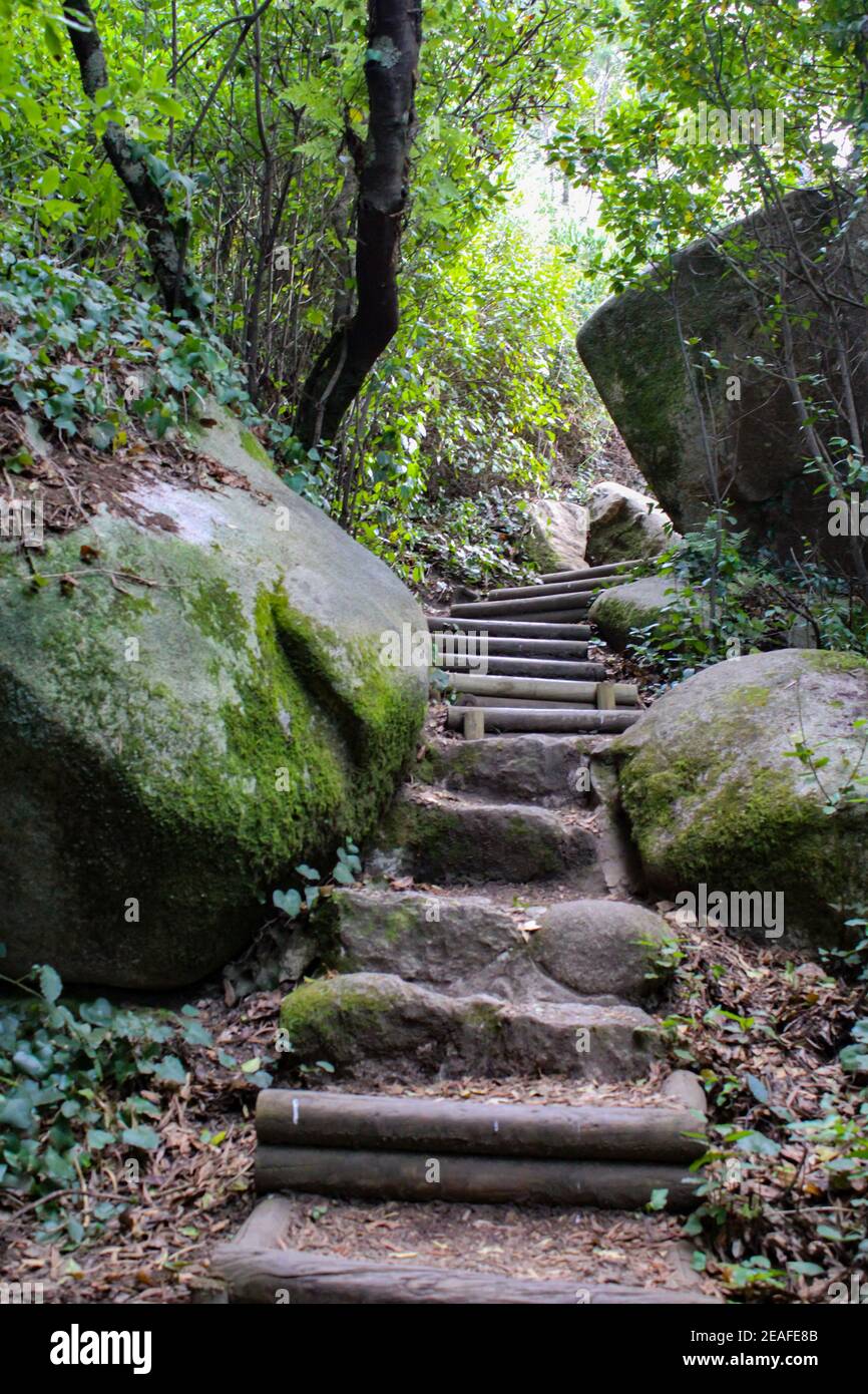 Old staircase on hiking trail hi-res stock photography and images - Alamy