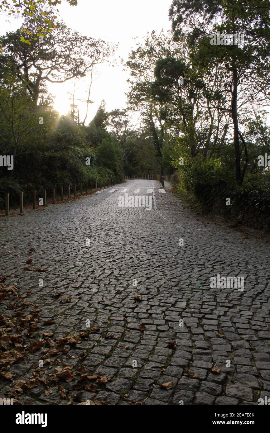 Cobbled pedestrian street lined hi-res stock photography and images - Alamy
