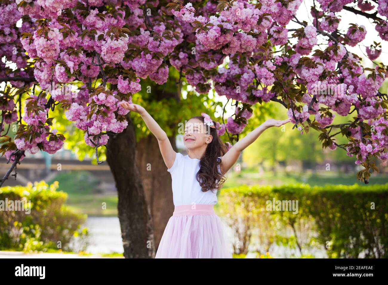 the girl is standing under the pink tree that bloom Stock Photo - Alamy