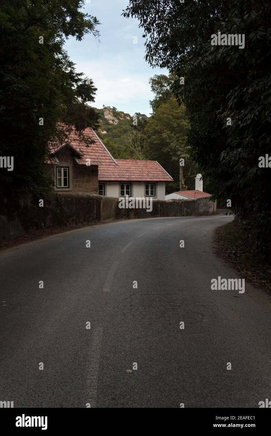 Empty road with cute house and trees on both side Stock Photo - Alamy