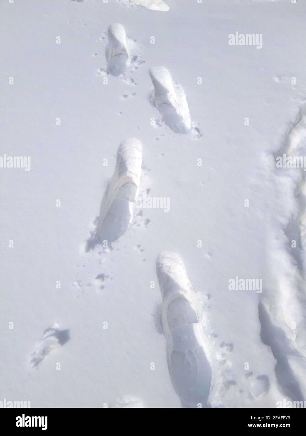 Footprints background hi-res stock photography and images - Alamy