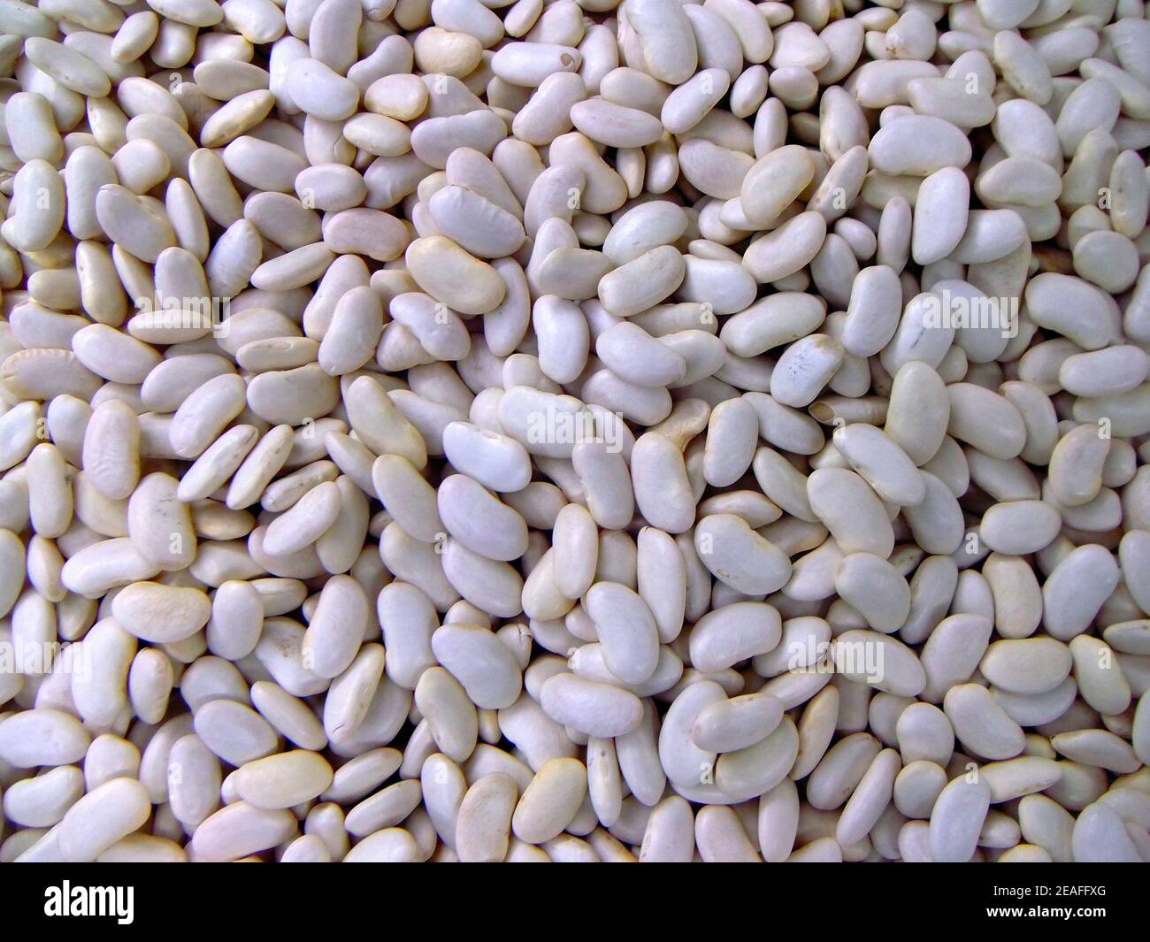 Pearl bean hi-res stock photography and images - Alamy