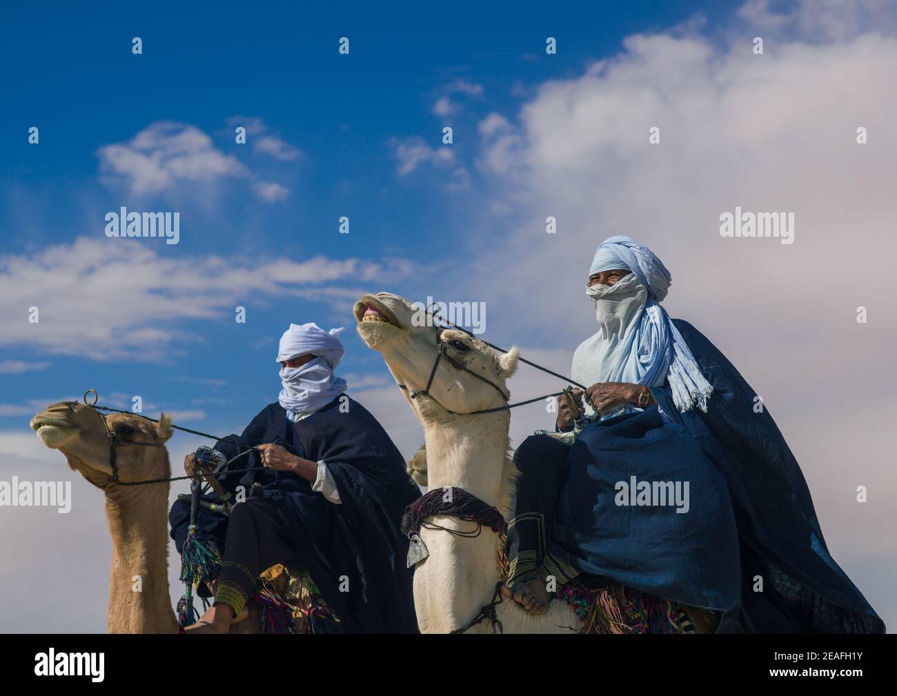 Tuareg men riding camels, Tripolitania, Ghadames, Libya Stock Photo - Alamy