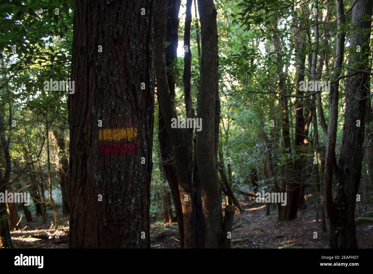 Mark trail wilderness sign hi-res stock photography and images - Alamy