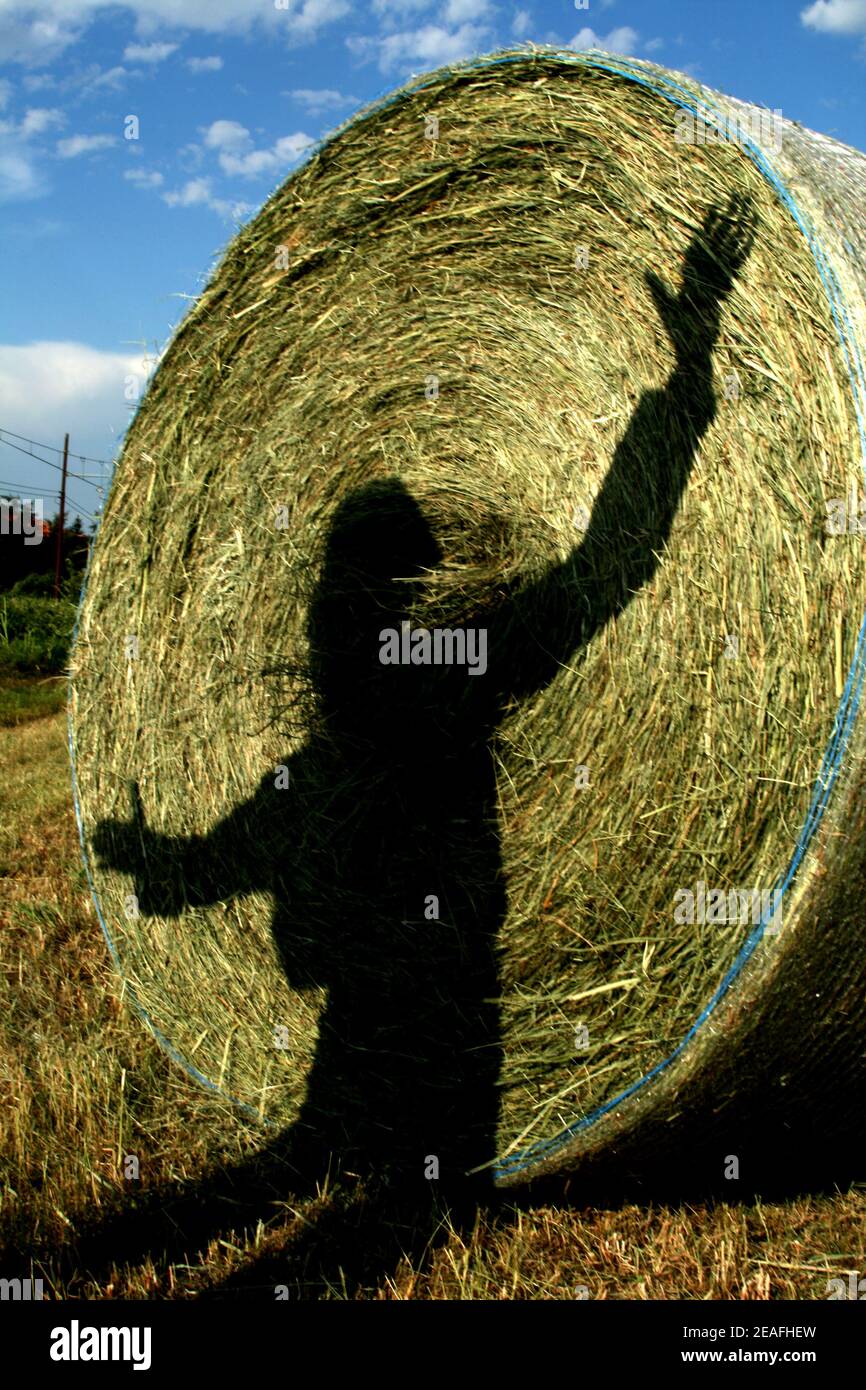 Vertical shot hay bale hi-res stock photography and images - Alamy