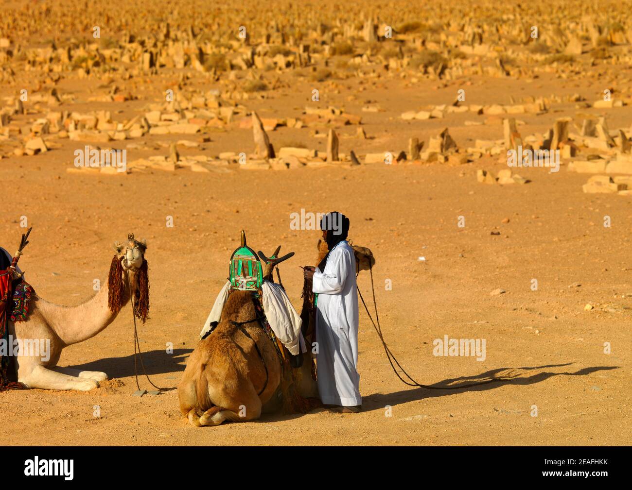 Ghadames festival libya hi-res stock photography and images - Alamy