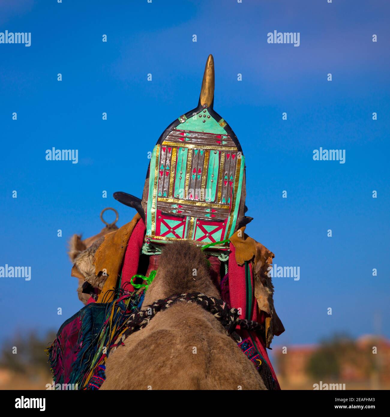 Camel saddle, Tripolitania, Ghadames, Libya Stock Photo - Alamy
