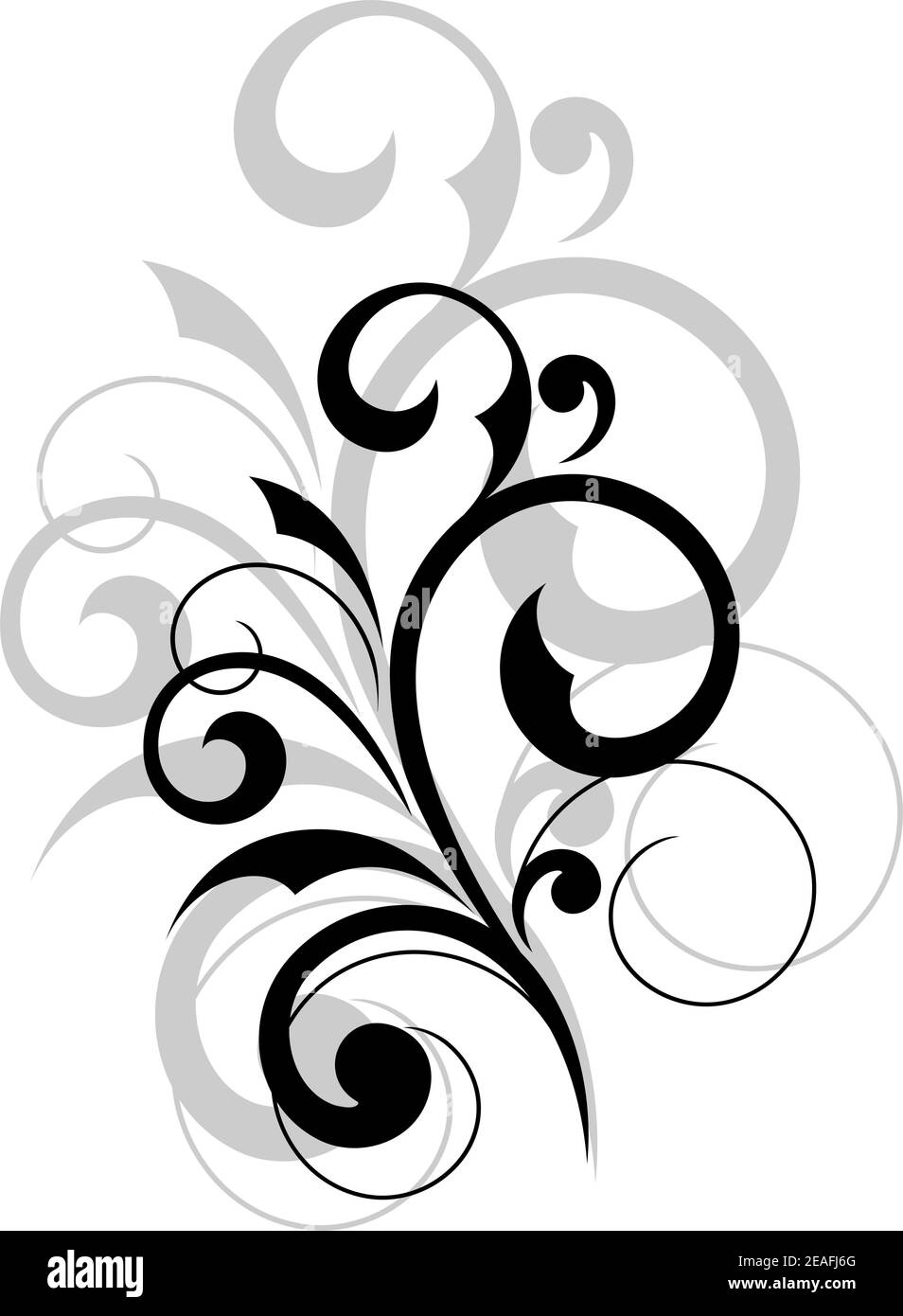 Elegant scrolling foliate design element on white background Stock ...