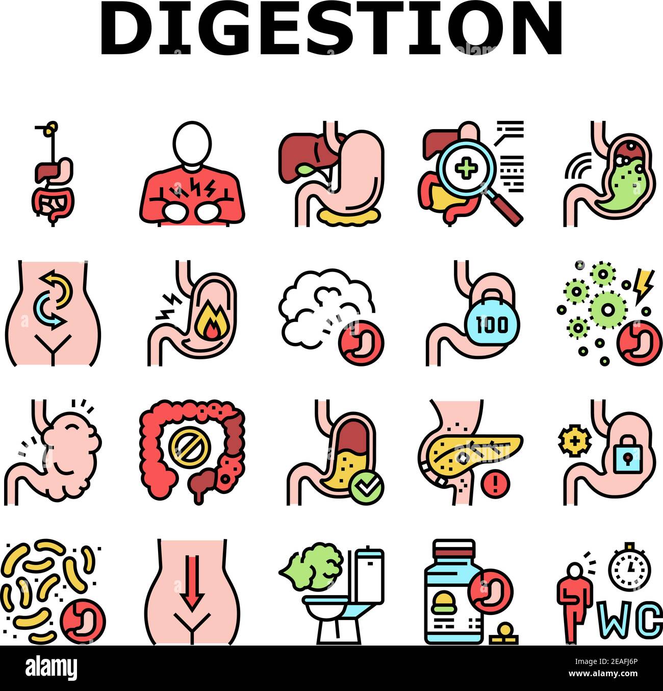 Digestion Disease And Treatment Icons Set Vector Stock Vector Image ...