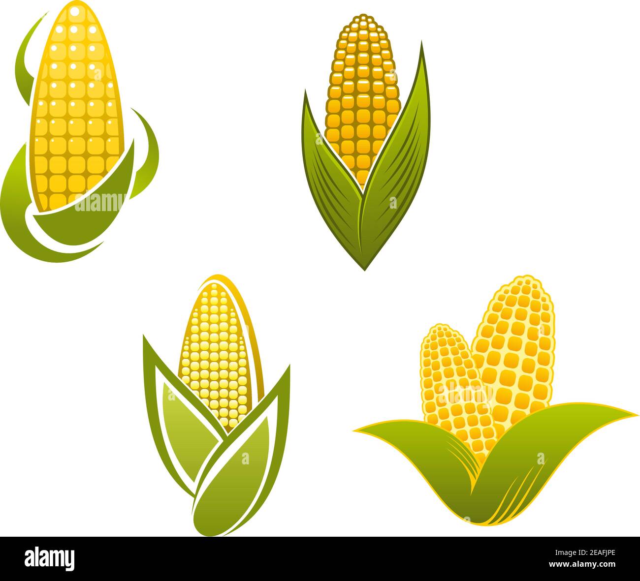 Yellow corn icons and symbols for agriculture design Stock Vector Image ...