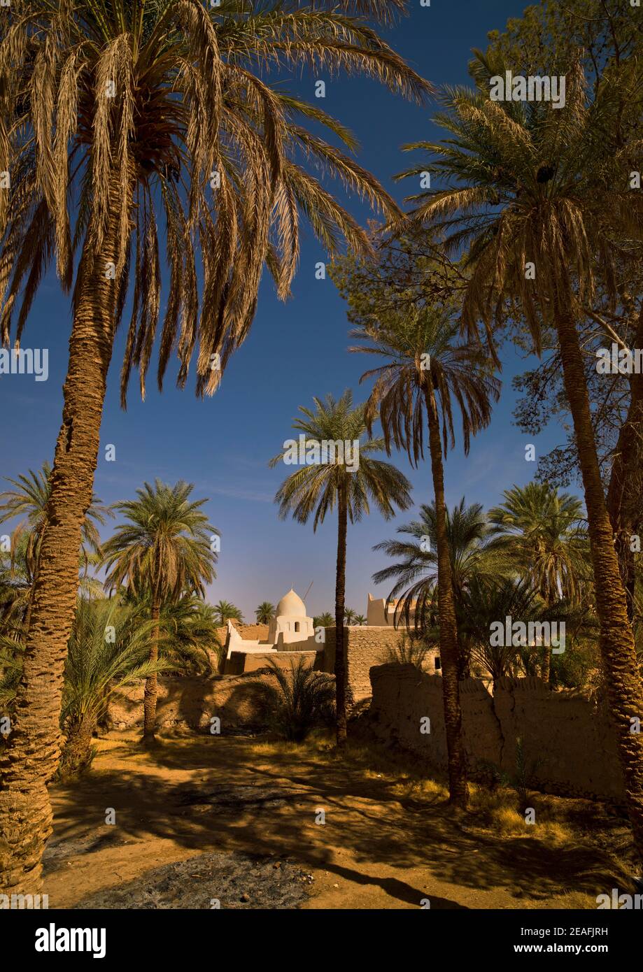 Oasis in the old town, Tripolitania, Ghadames, Libya Stock Photo - Alamy
