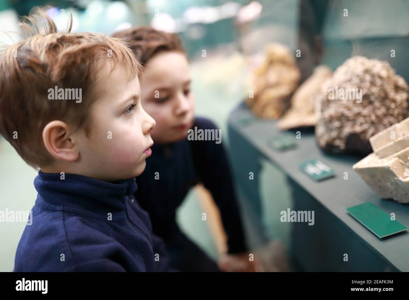 Children museum fossil hi-res stock photography and images - Alamy