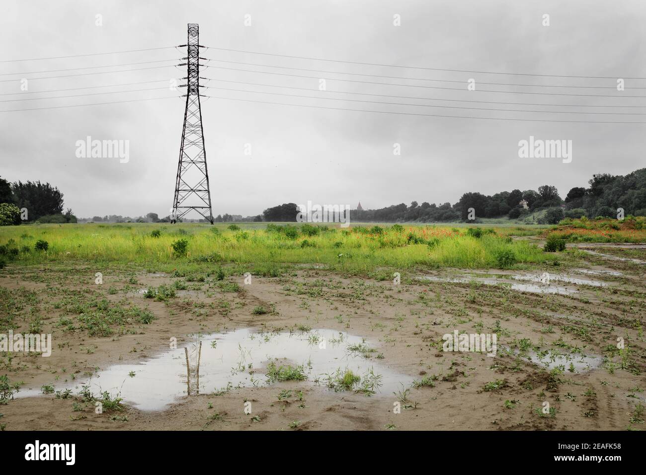 Transmission tower in the countryside, rural landscape after the rain ...