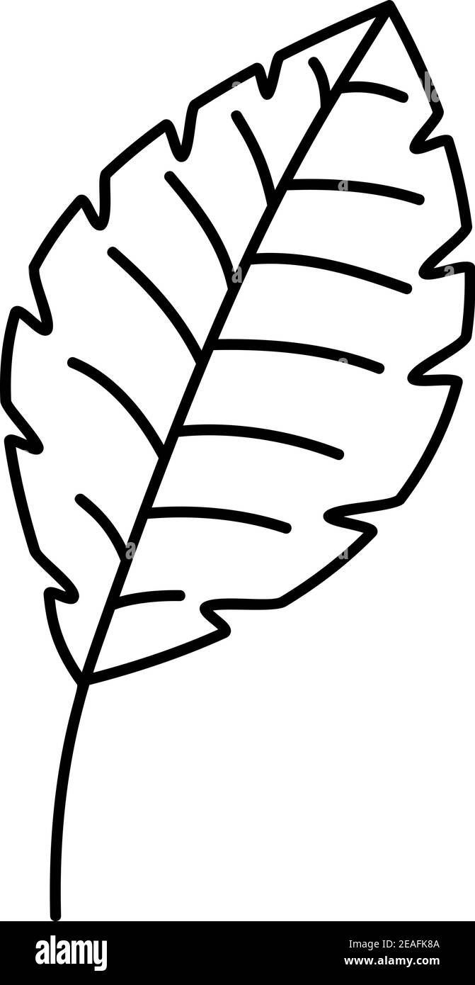 Spring Leaf Outline Vector line Icon. Doodle Spring Concept Minimal ...
