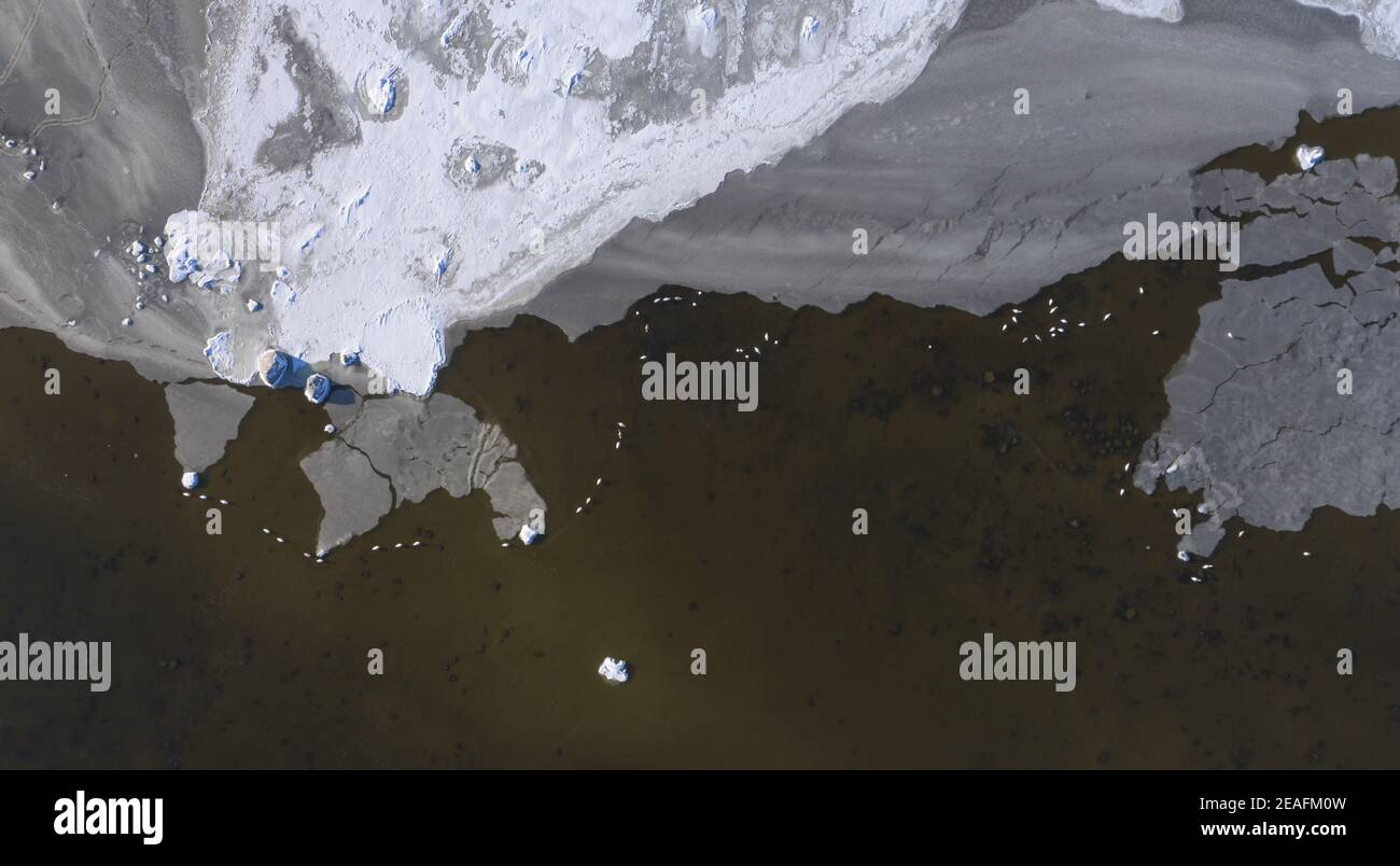 Aerial view of snow landscapes and ice floes in the sea Stock Photo - Alamy