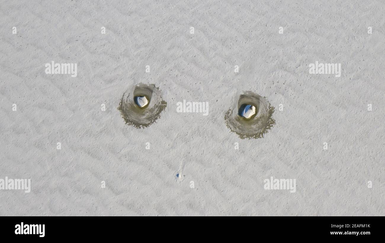 Wide-angle lens shot of a white wall with stains Stock Photo - Alamy