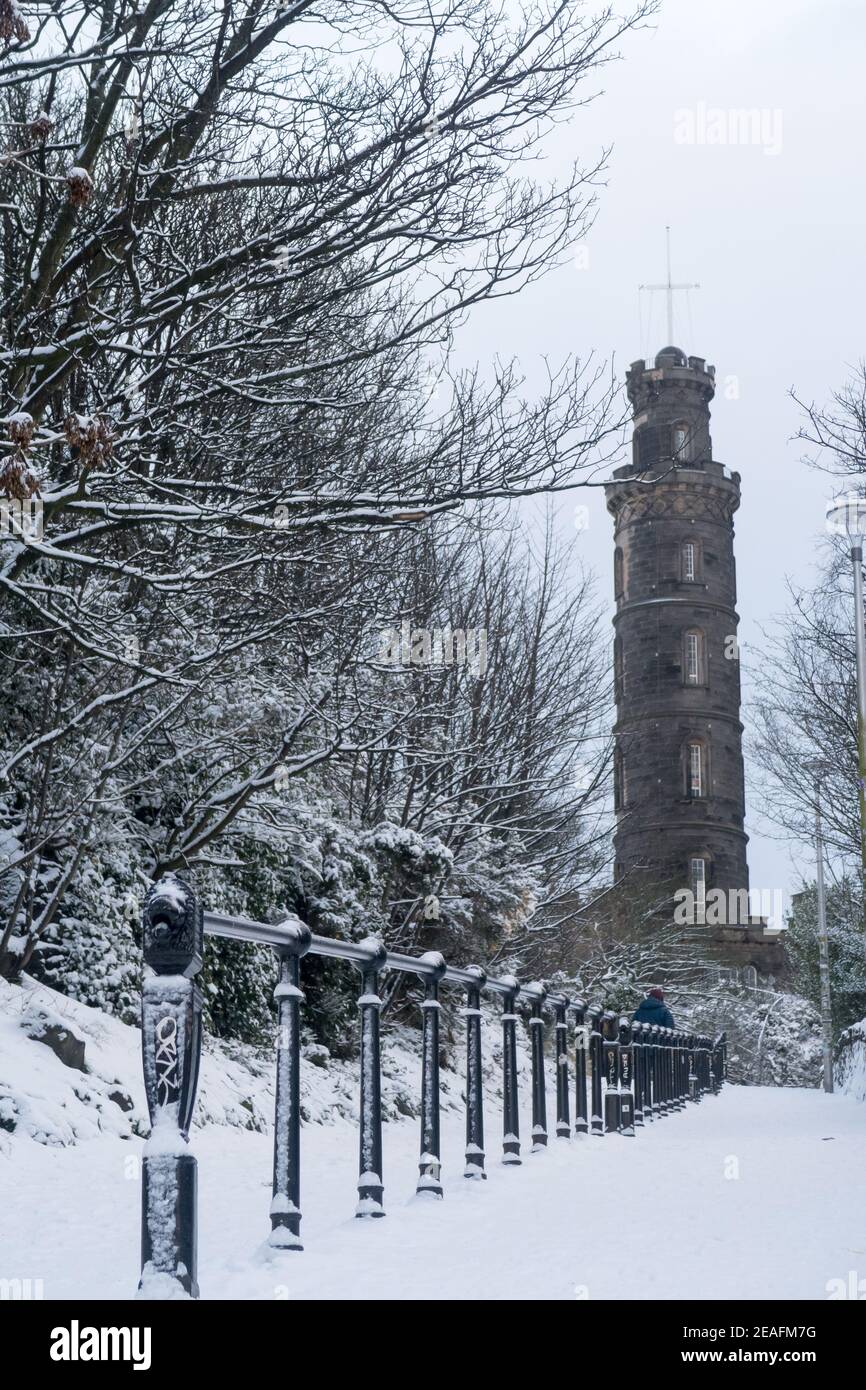 Nelson landmark hi-res stock photography and images - Alamy