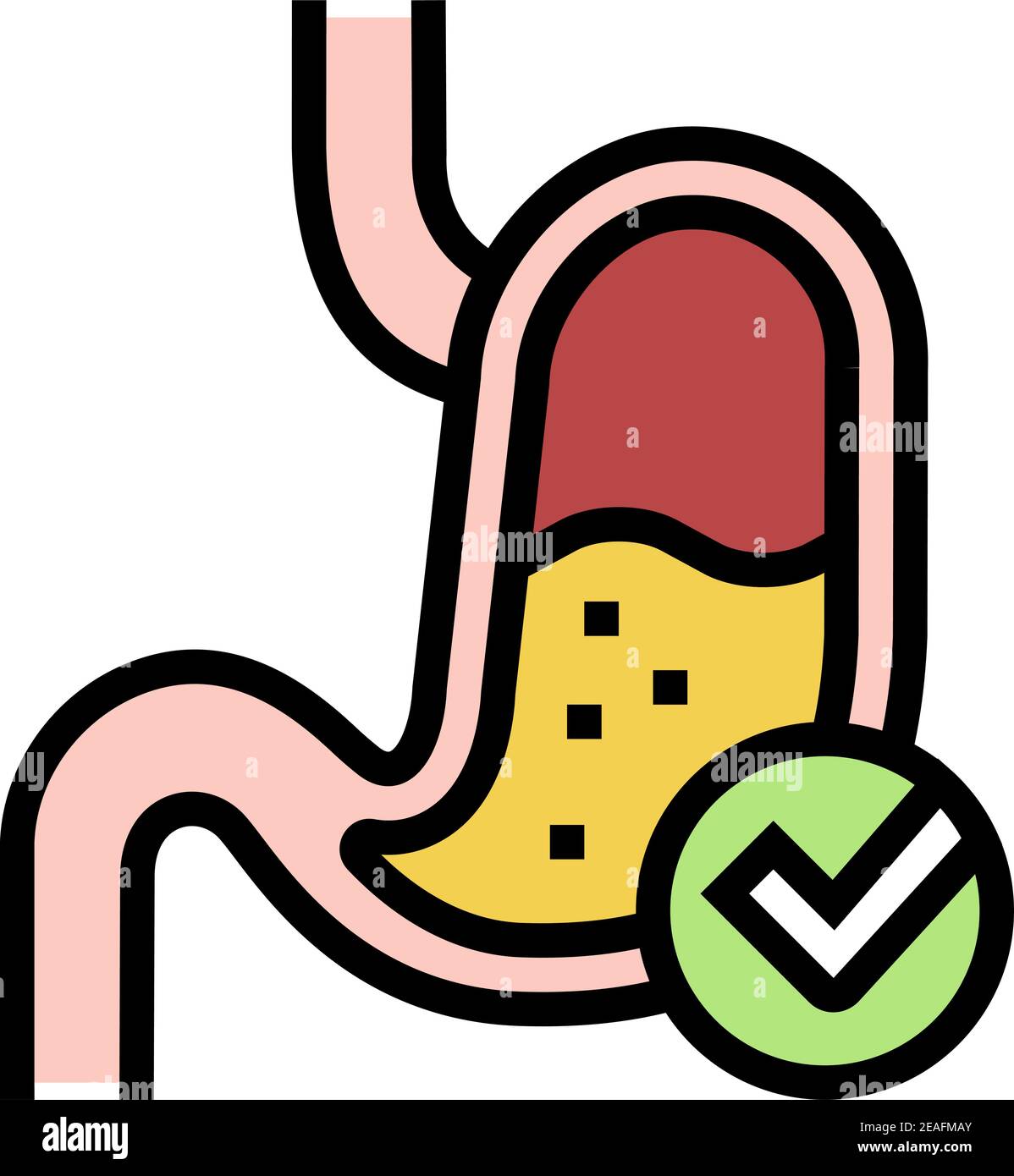 normal workin digestion system color icon vector illustration Stock ...