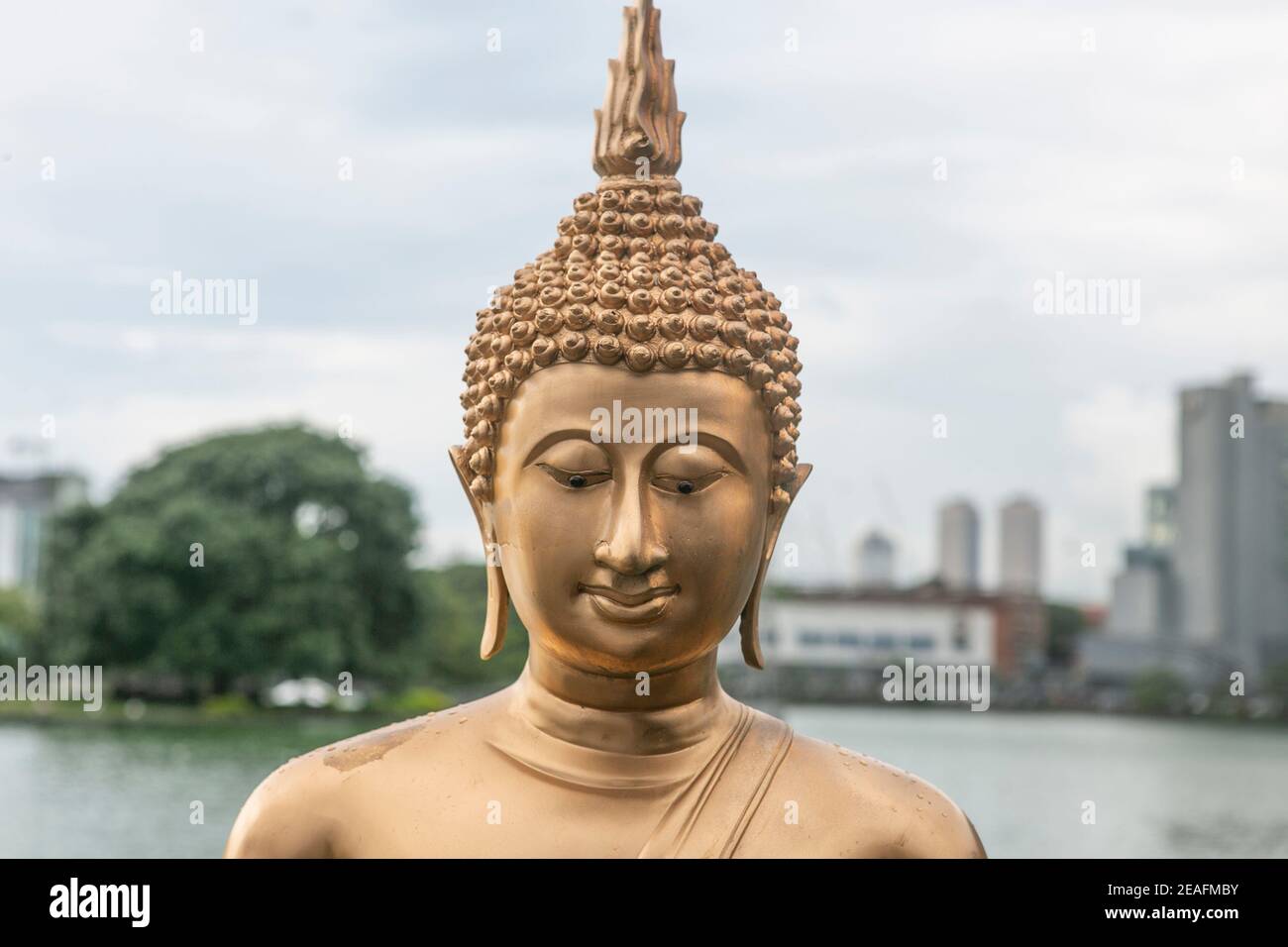 Buddha statue in a park in Central Colombo, Sri Lanka Stock Photo - Alamy