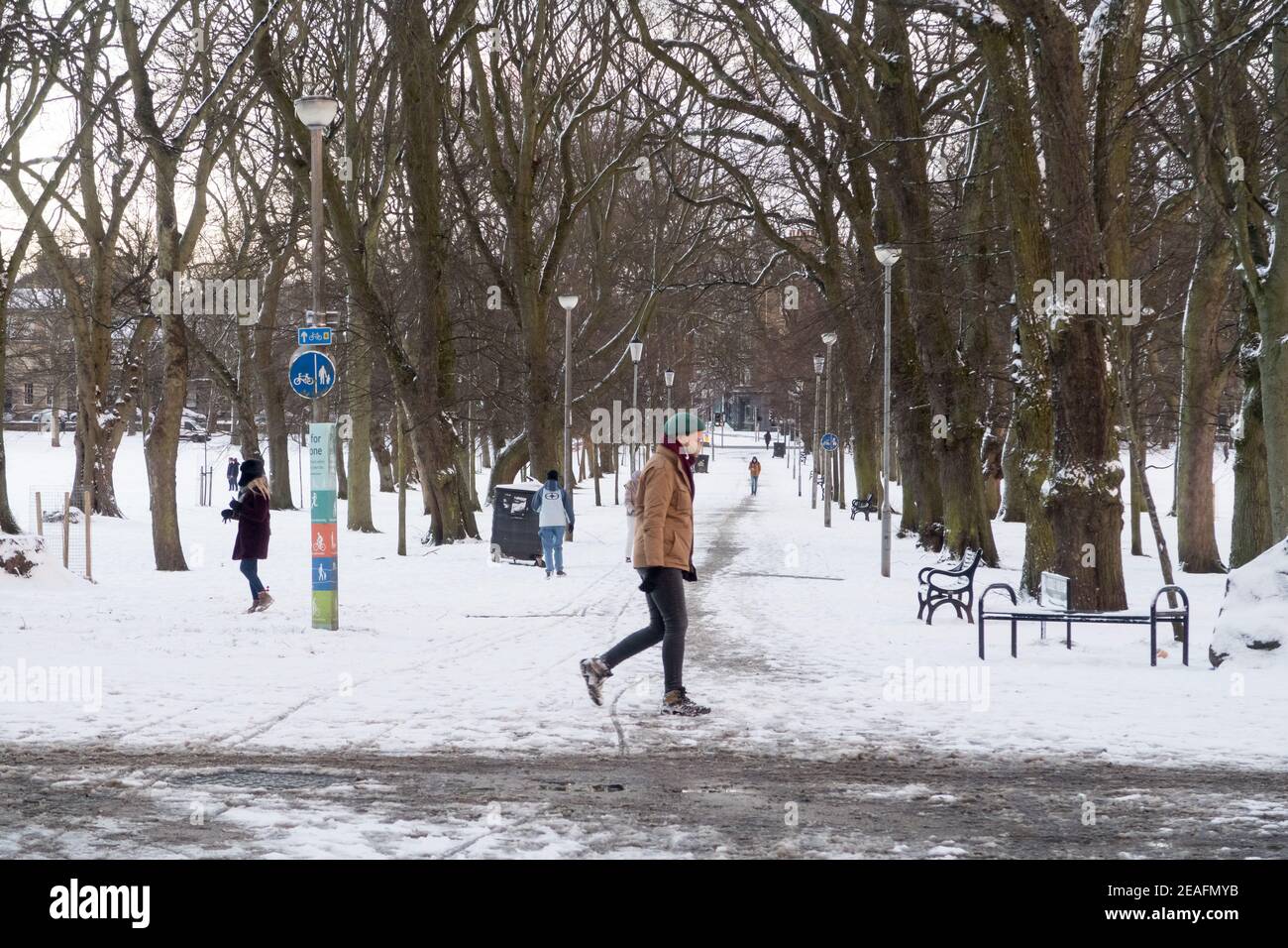 A view of the Edinburgh meadows covered in snow Stock Photo - Alamy