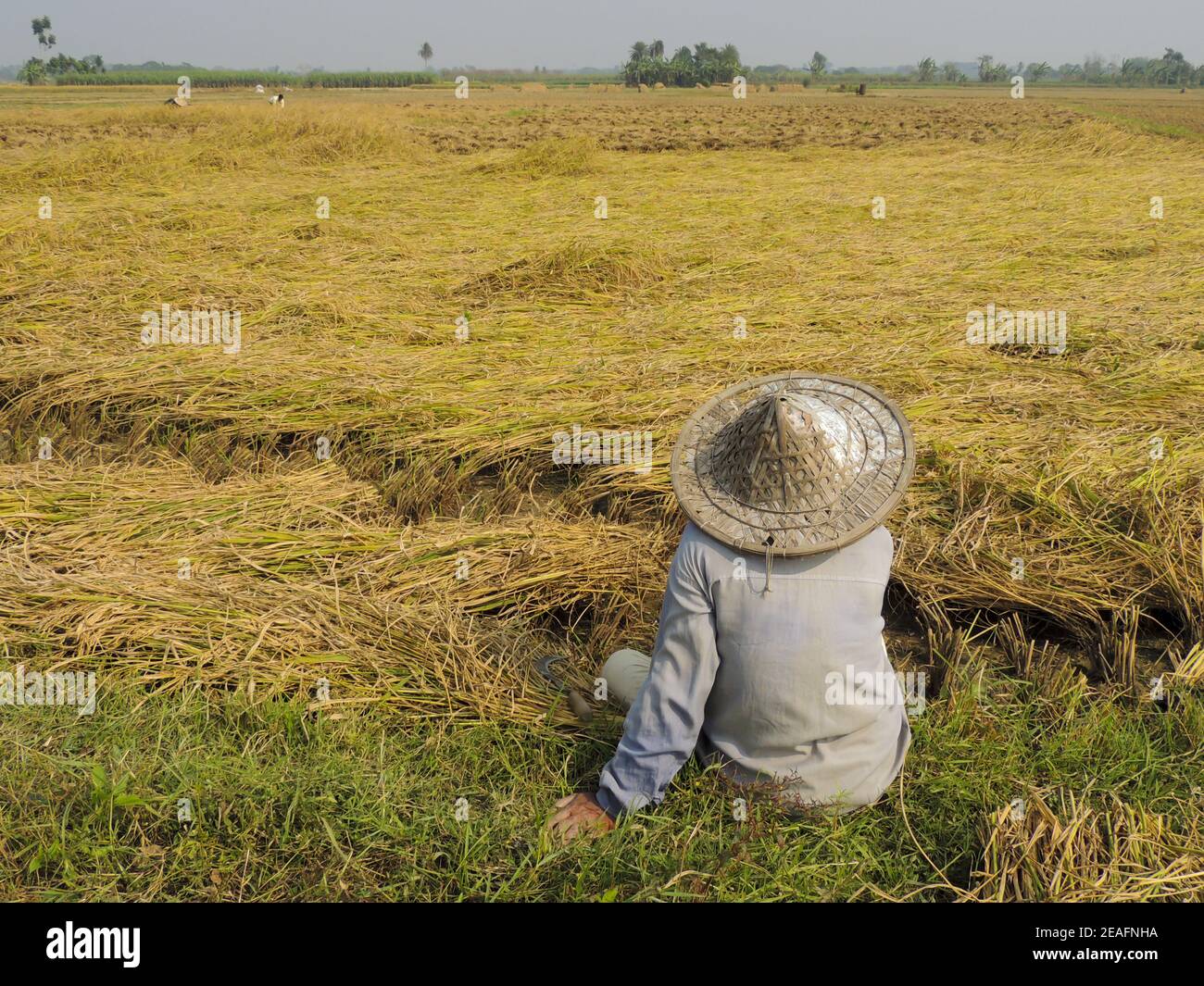 Coolie man hi-res stock photography and images - Alamy