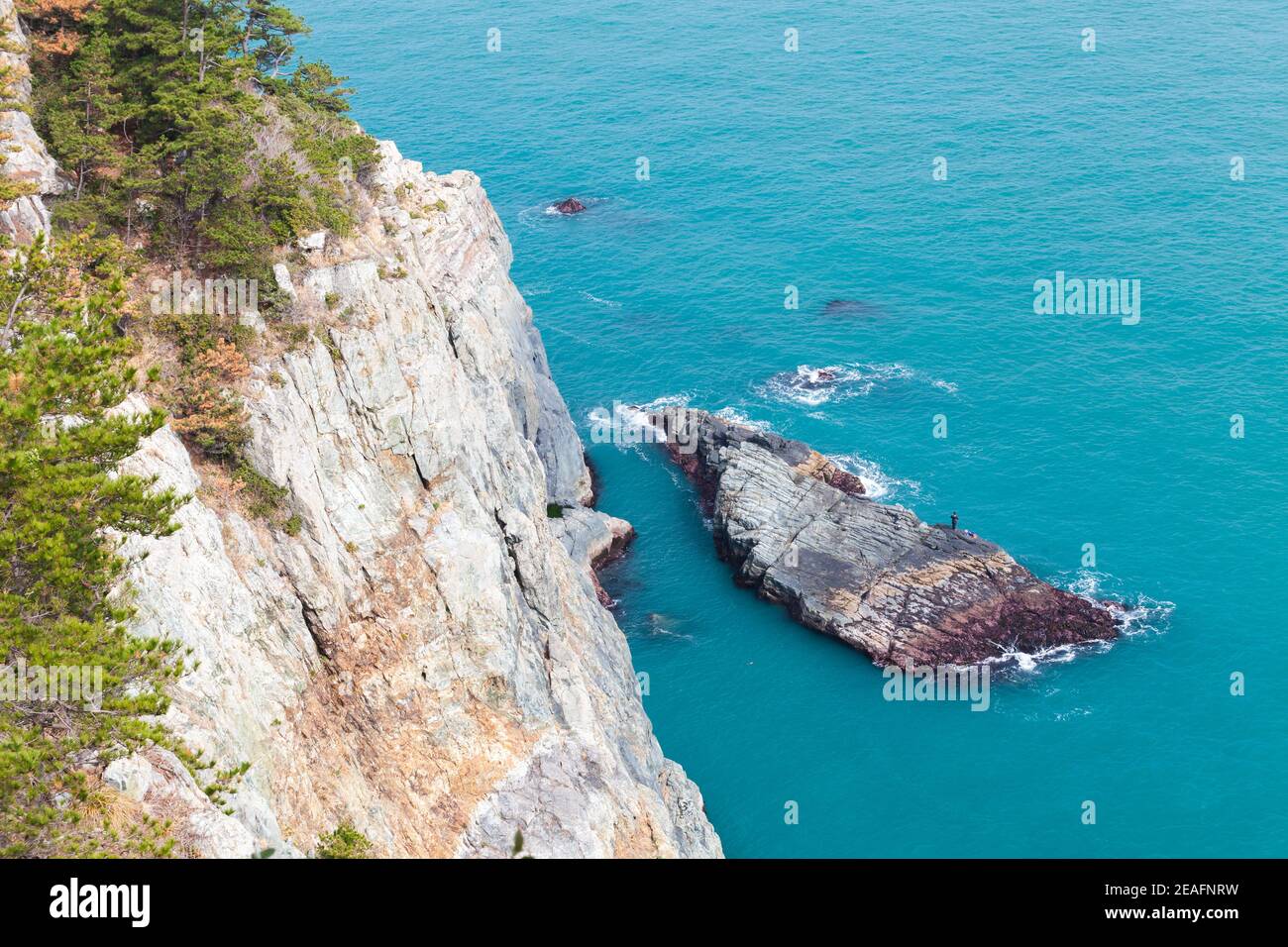 Coastal landscape with pine trees on rocky slopes near small islet ...