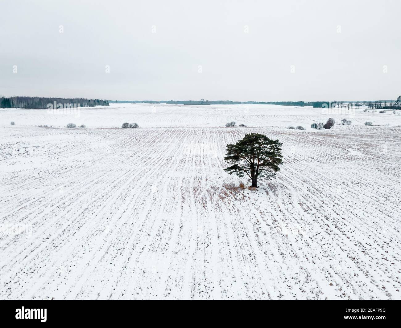 Fiein hi-res stock photography and images - Alamy