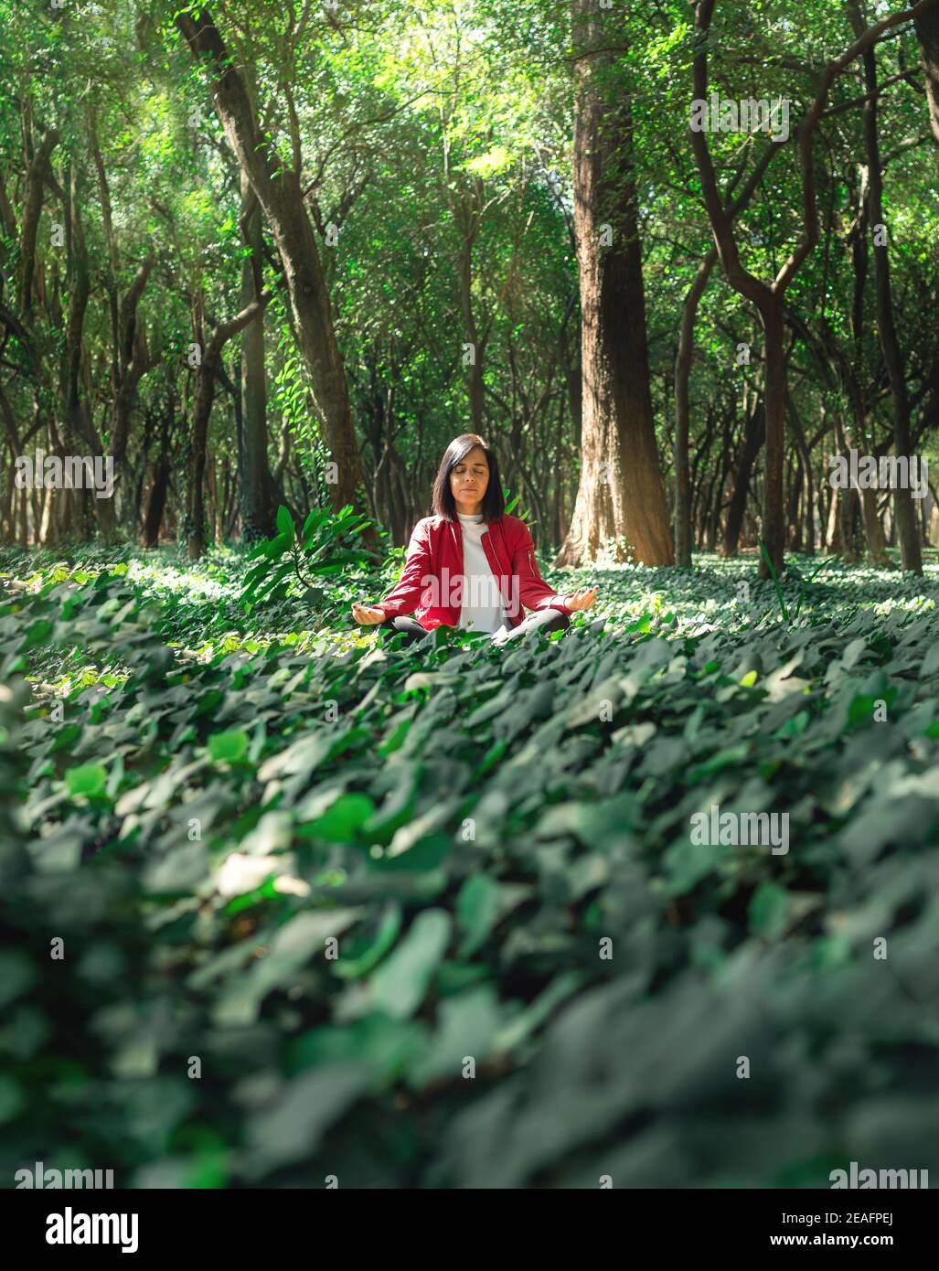 Buddha meditating under tree hi-res stock photography and images - Alamy
