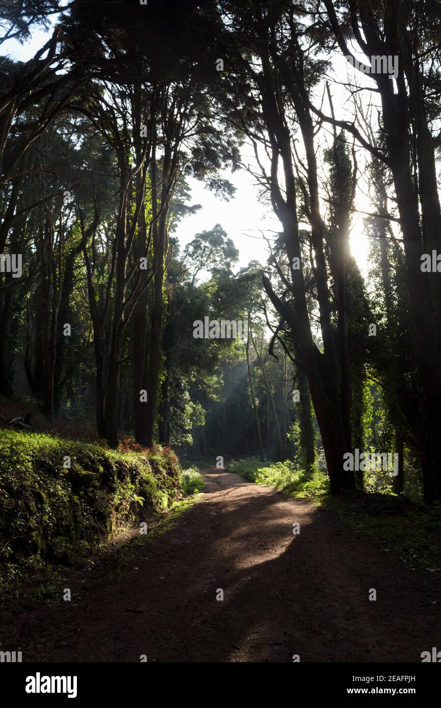 Rays sunlight pass through calm hi-res stock photography and images - Alamy