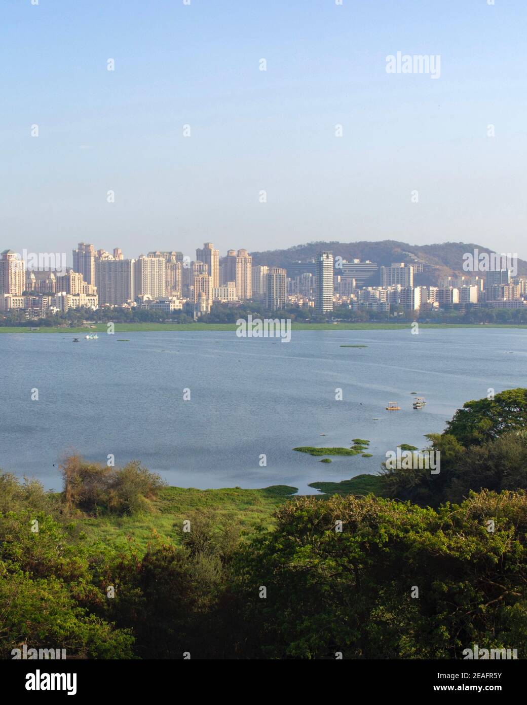 Powai birds hi-res stock photography and images - Alamy