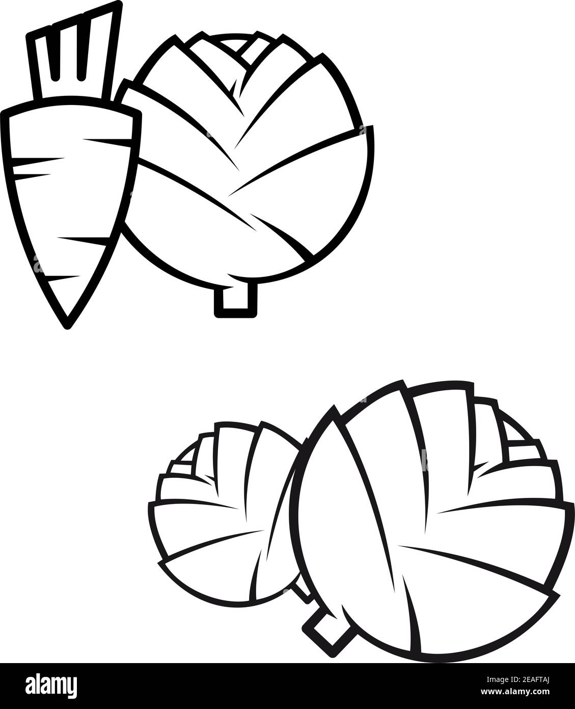 Black and white stylised line drawing of a fresh whole carrots, cabbage ...