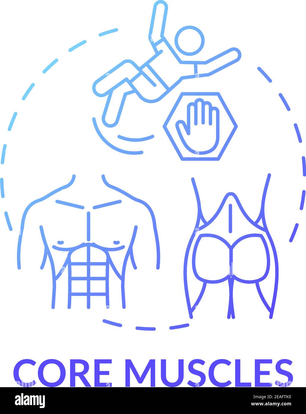 Core muscles anatomy hi-res stock photography and images - Alamy