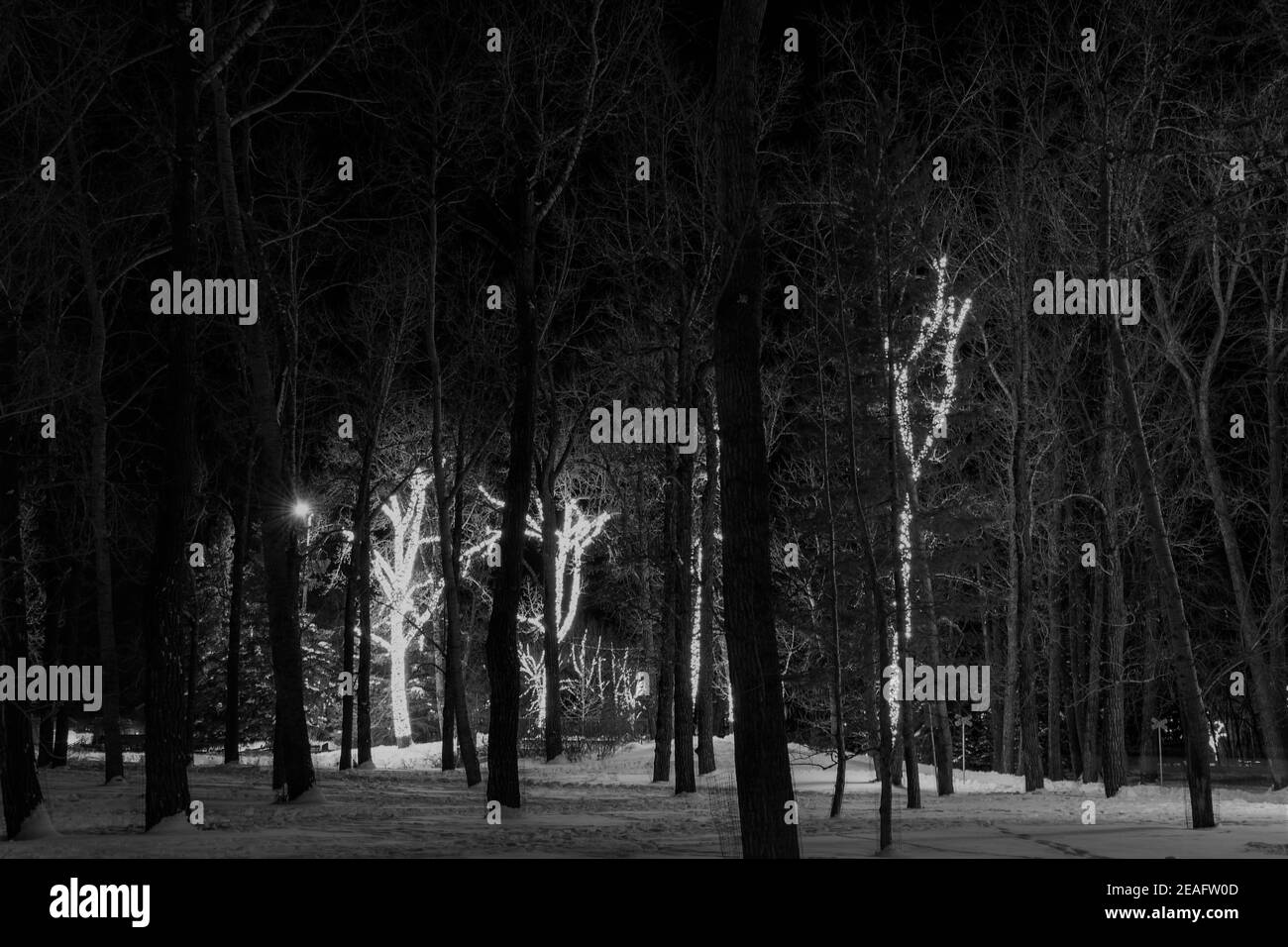 Lights on the park Stock Photo - Alamy