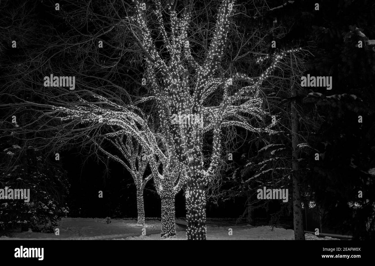 Urban scenery and lights hi-res stock photography and images - Alamy