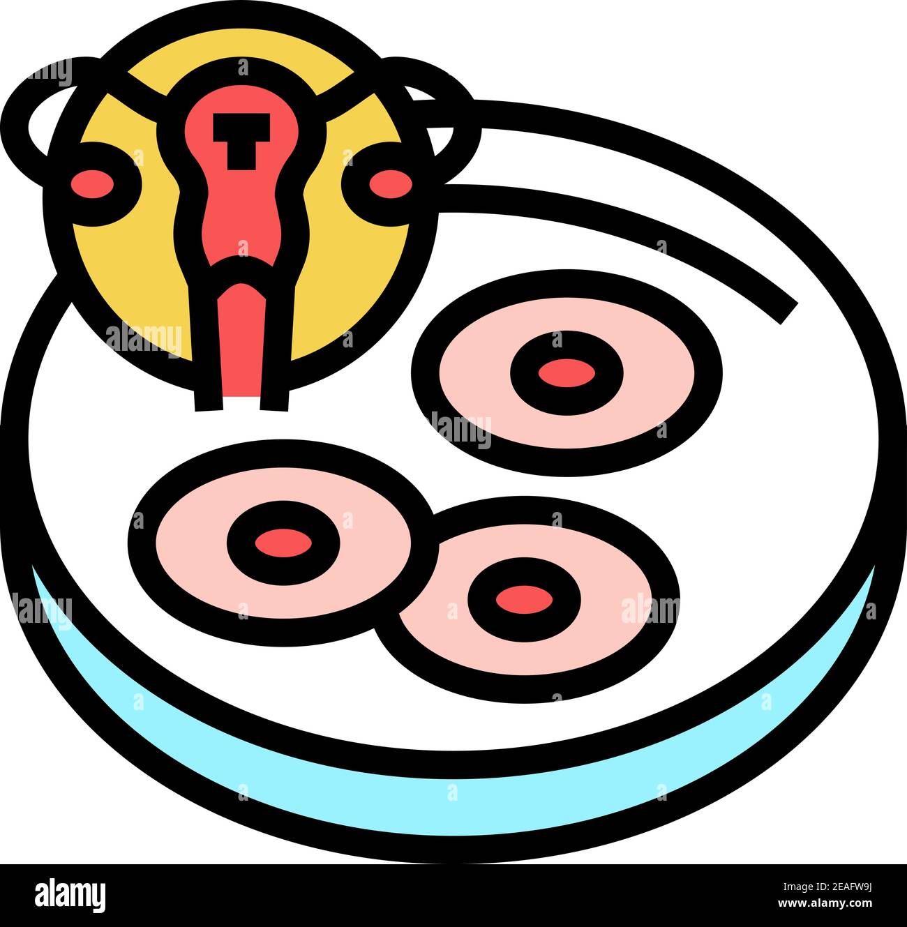 Sperm preparation in vitro hi-res stock photography and images - Alamy