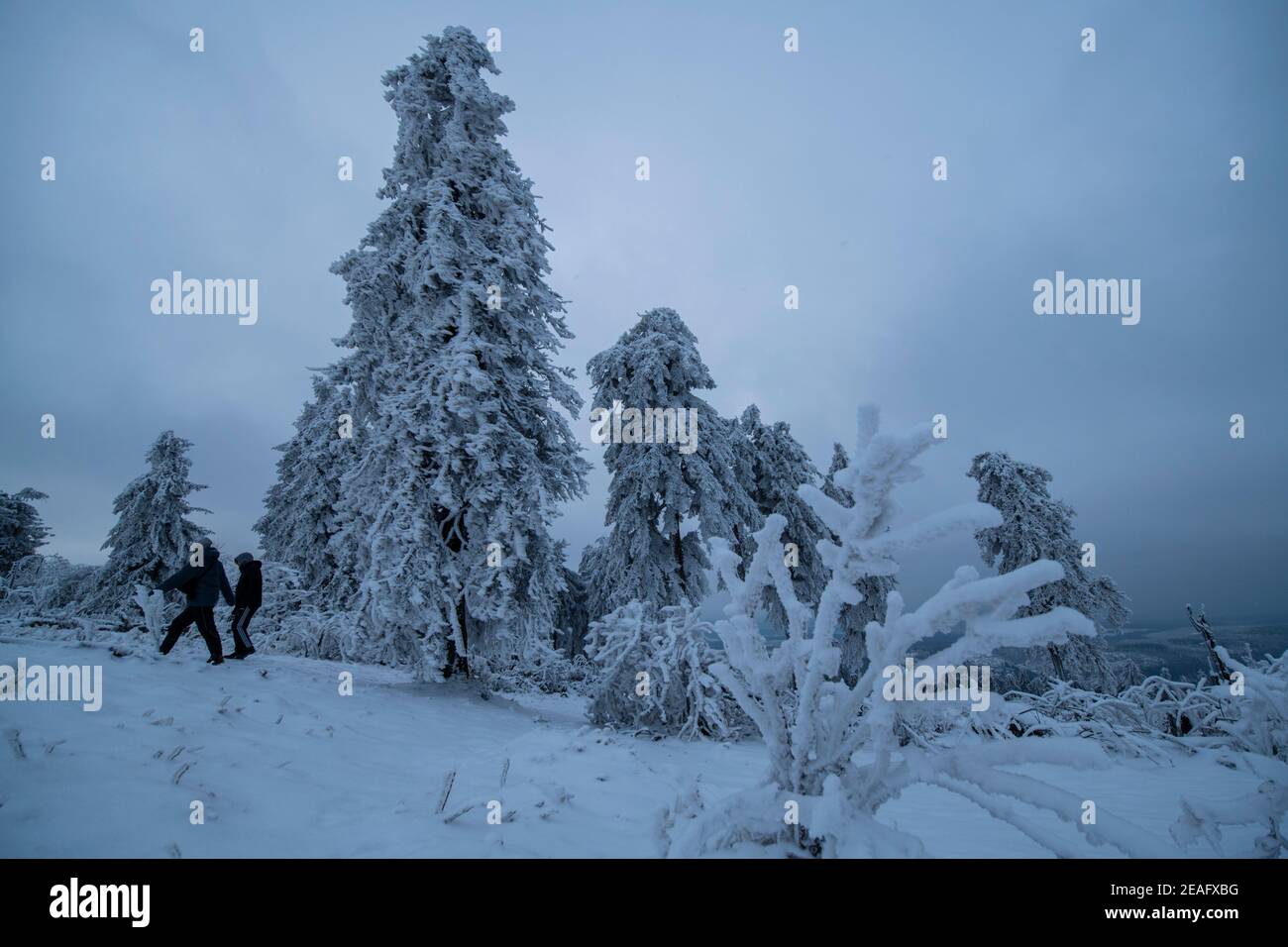 Schmitten, Germany. 09th Feb, 2021. Centimeter-thick ice covers the ...