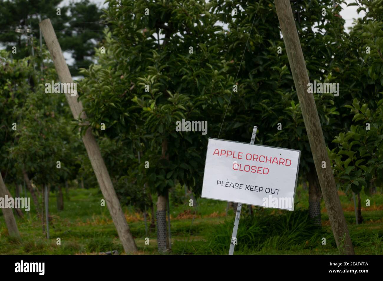 apple orchard closed sign in Massachusetts Stock Photo - Alamy