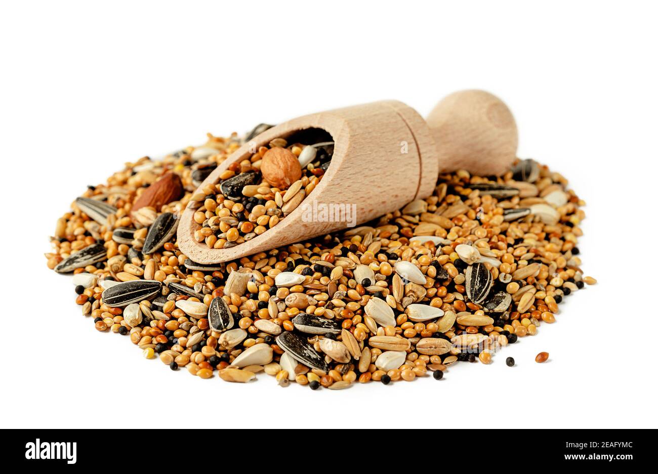 Heap of parrot fodder on white background. Pet care and healthy feeding ...