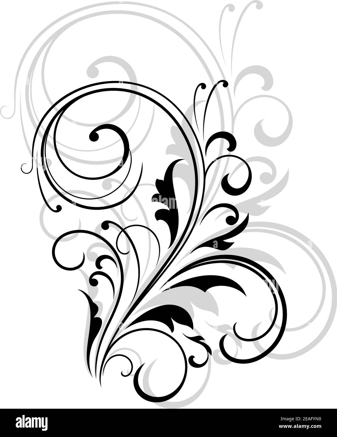 Elegant Black Swirl Design