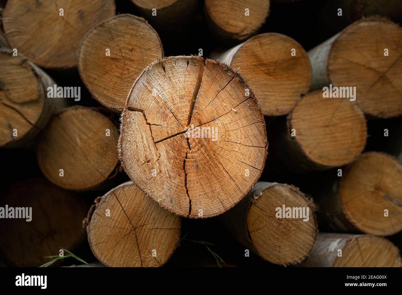 Rustic Weathered Wood Logs Stock Photo - Alamy