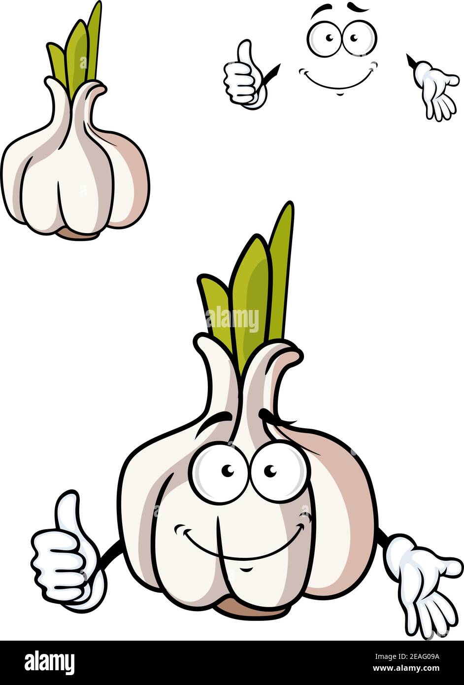 Cartoon illustration of a whole fresh garlic bulb with a cute smiley ...