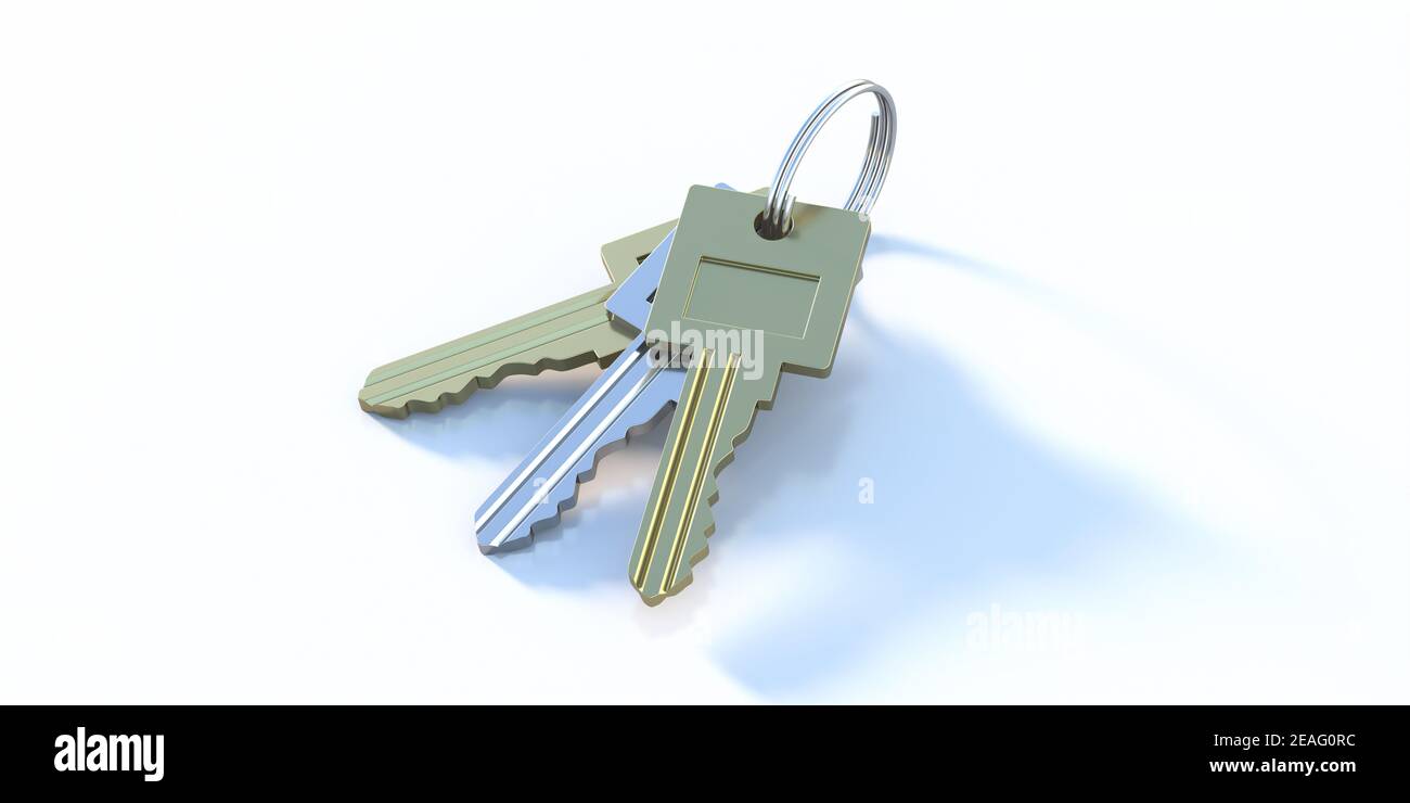 Keys set in a key ring isolated on white background. Golden and silver ...