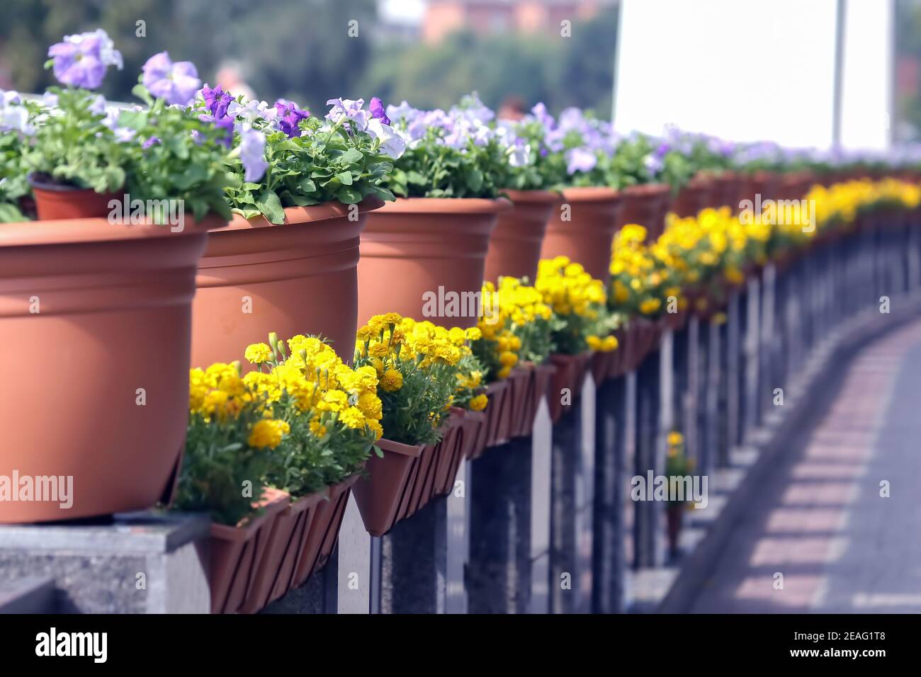 Marble parapet hi-res stock photography and images - Alamy
