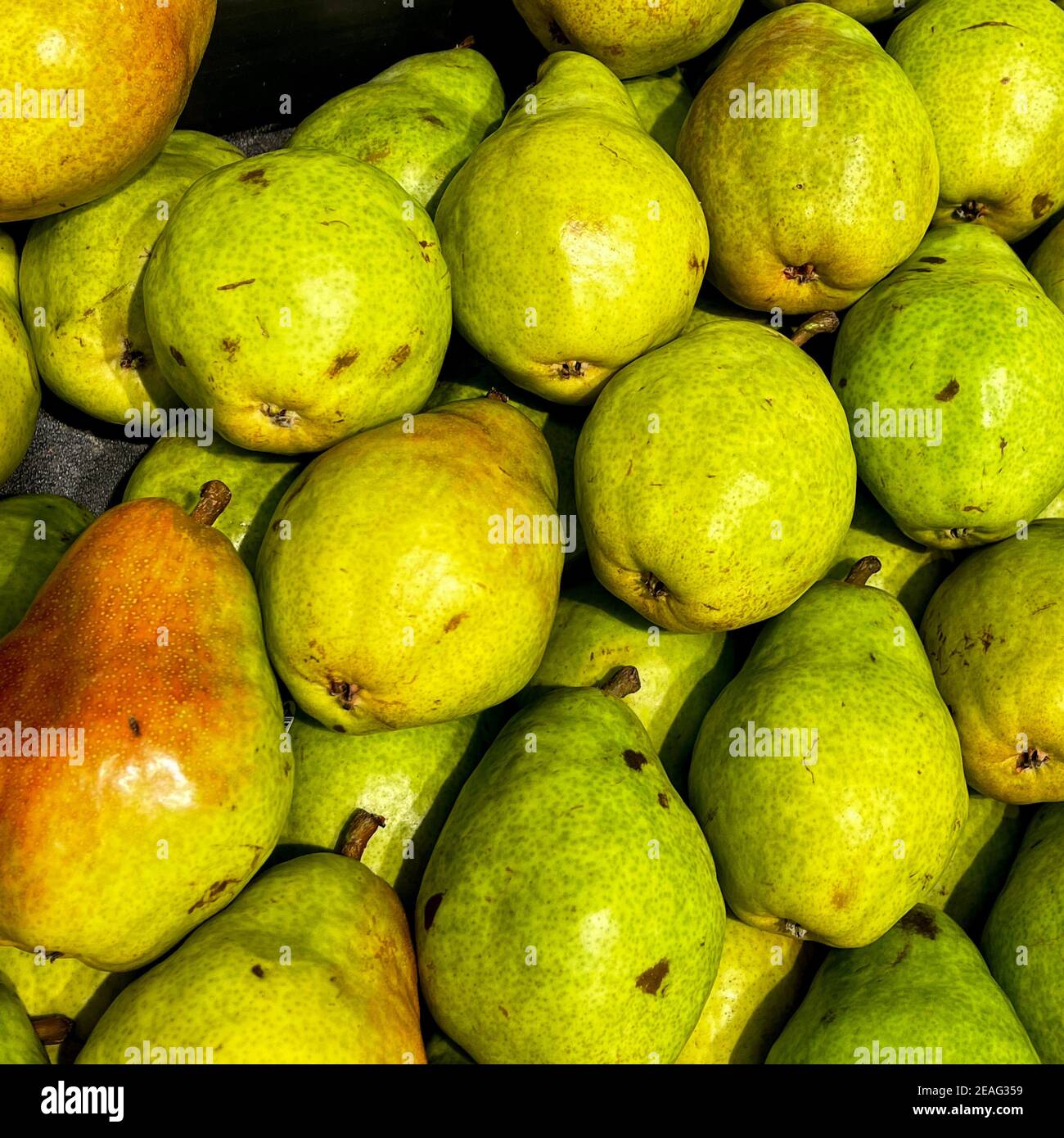 A display of bright green pears at a market Stock Photo - Alamy